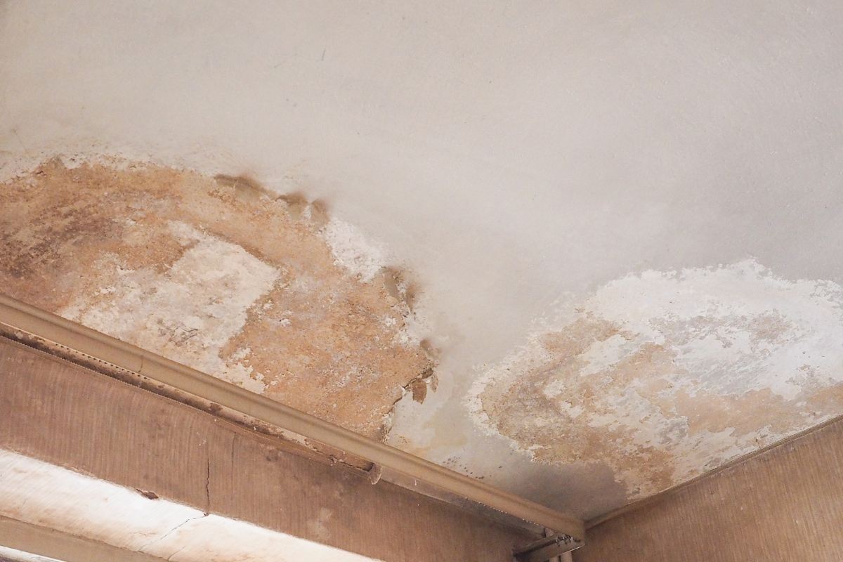 7 Different Types of Damp Found in Properties