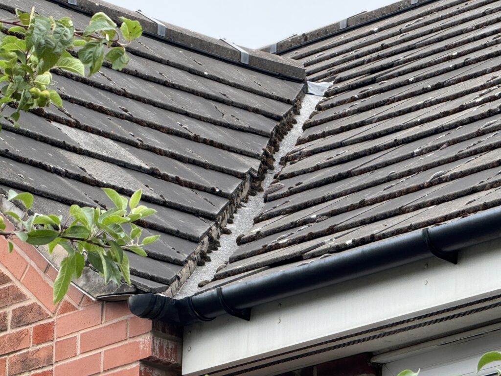 Pitched Roof Coverings | CJ Bloor Property Consultants